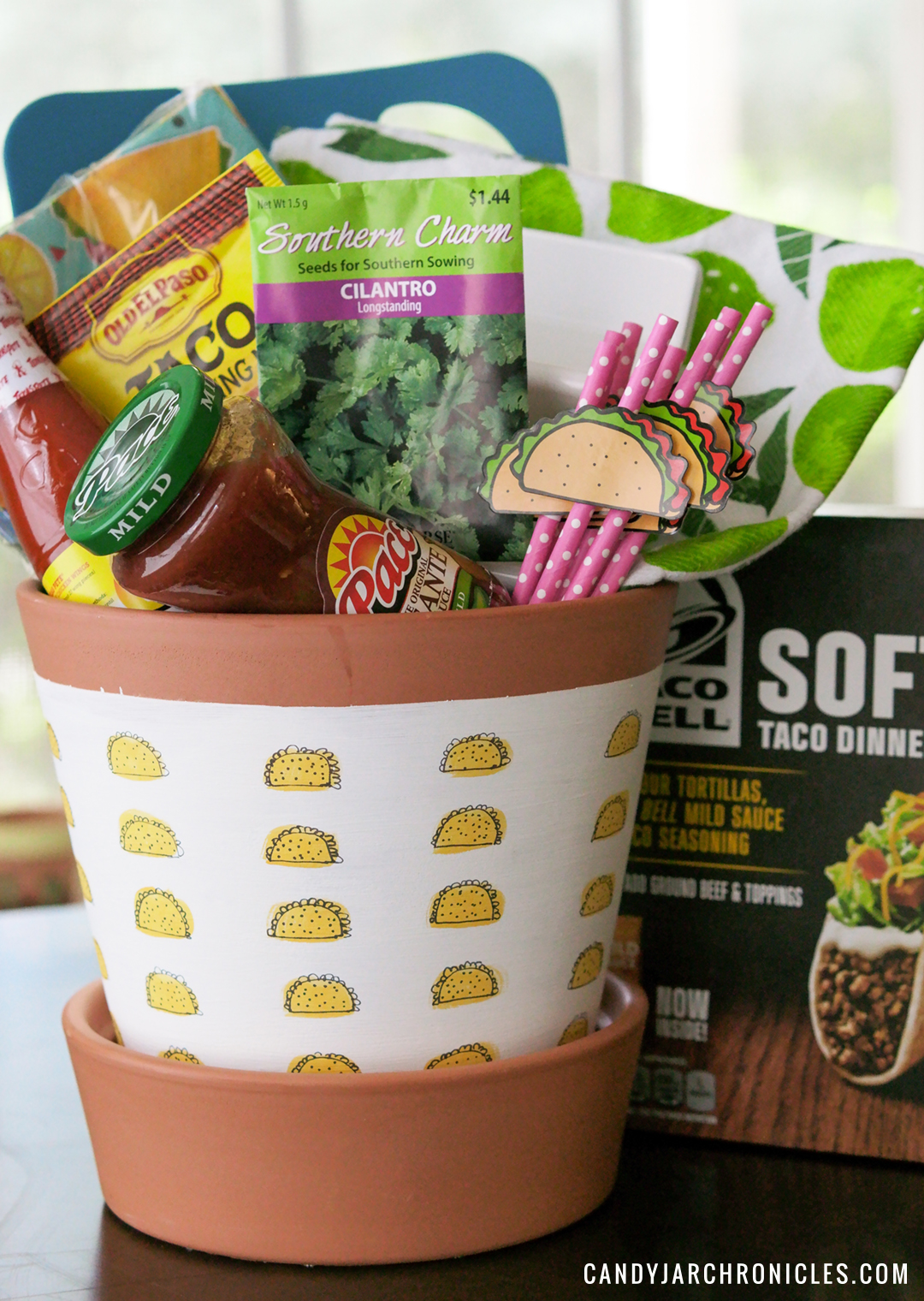 Taco Planter Gift Idea - Candy Jar Chronicles
